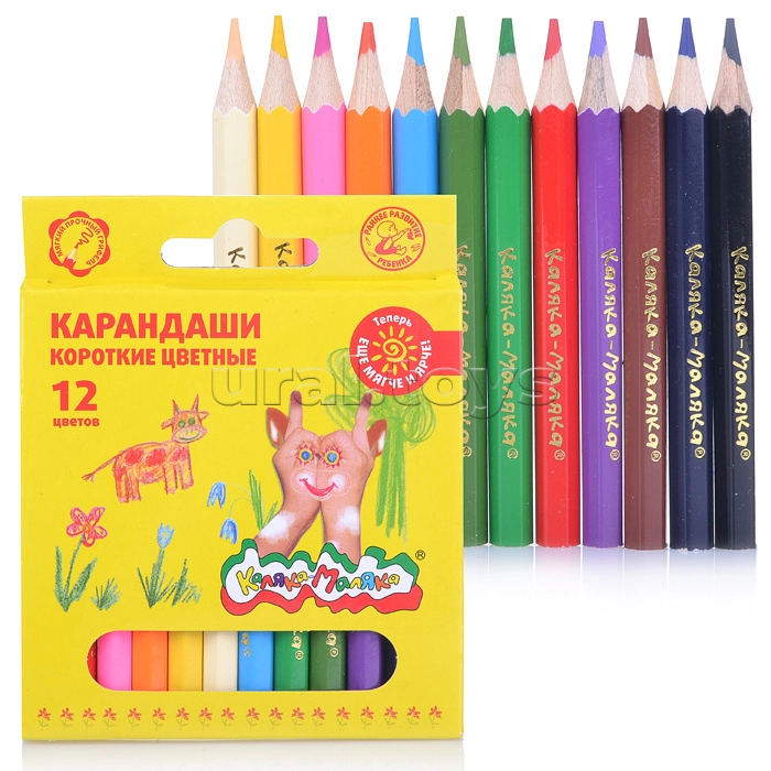 Карандаши цветные 12 цветов, короткие 3+ - купить оптом от 63,36 рублей ...